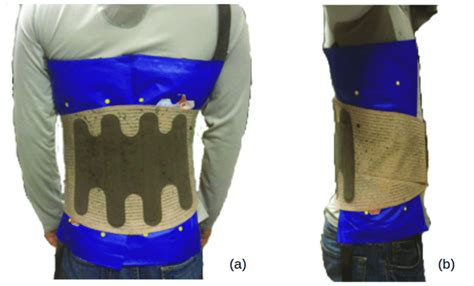 Illustration Of A Pressure Sensor Matrix Positioned On The Trunk When Download Scientific
