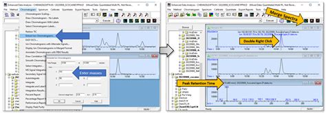 711121 Instructions For Data Processing Using Msd Chemstation Data