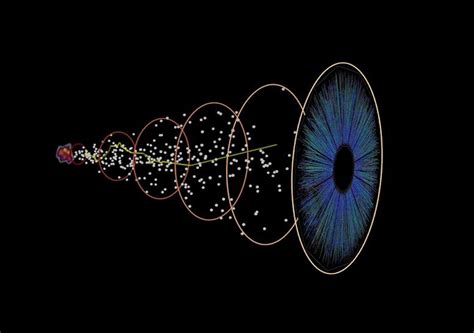 Interactive Graph Reveals Underlying Pattern Found In Particle Collisions Economics And Animals