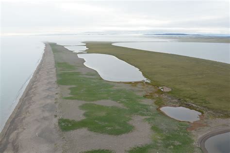 Shorezone Mapping Of Saint Lawrence Alaska Archipelago