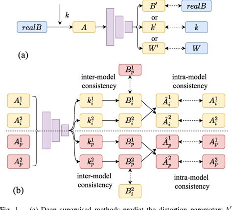 Sir Self Supervised Image Rectification Via Seeing The Same Scene From