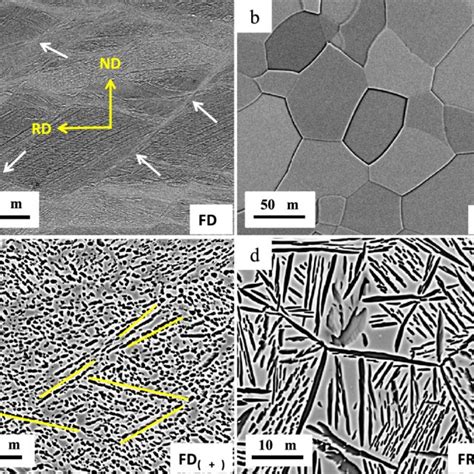 sem micrographs obtained under different experimental conditions a