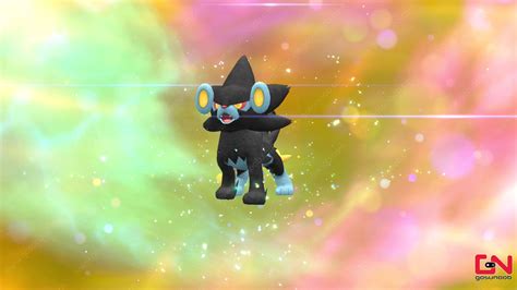 Shinx Evolution Into Luxio And Luxray Pokemon Scarlet Violet
