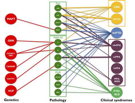 What Is Frontotemporal Dementia Ftd Talk