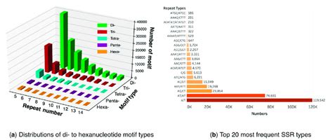 genome wide identification of simple sequence repeats ssrs in m