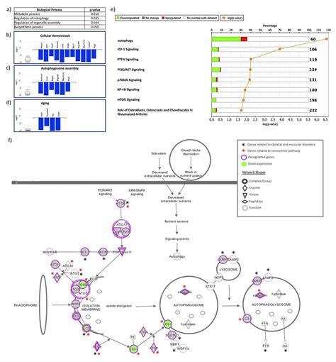 Bioinformatics Analysis Of Biological Process Terms And Pathways Among
