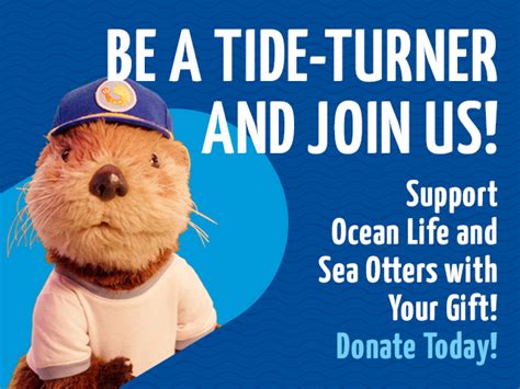 Seapak Donates 25 000 To Ocean Conservancy In Honor Of Sea Otter Awareness Week Food Industry