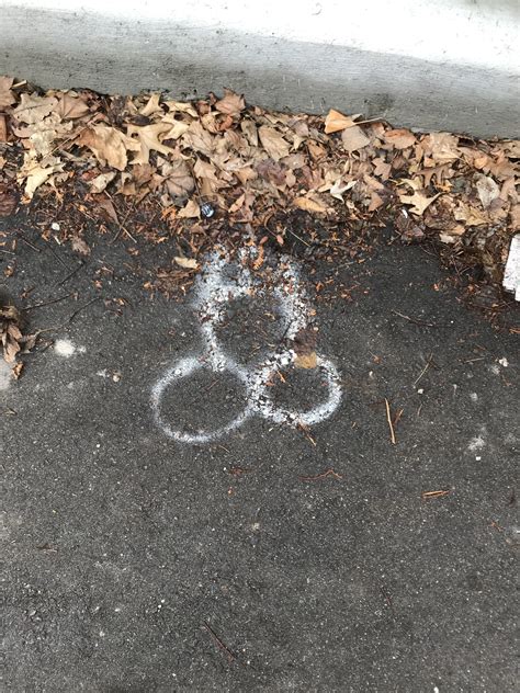 Discover More Like Peepee Peepee And Related Content Scrolller