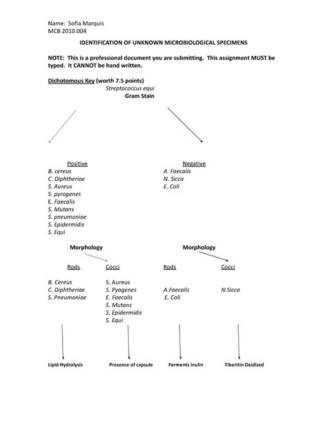 lab report answers to the lab homework need to submit at the end of