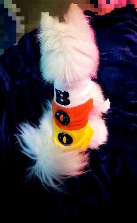 Opentowork Opentoconnect Jillofalltrades Salesmanagement Megan Lynn 16 Comments