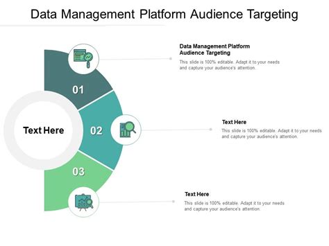 Data Management Platform Audience Targeting Ppt Powerpoint Presentation