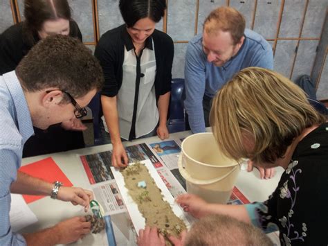 Standard 4 Hayley Kirkpatrick