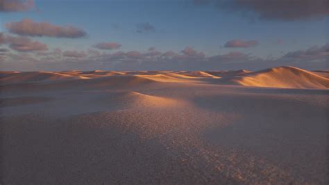 Quash Ai Powered Mobile App Testing And Qa Automation