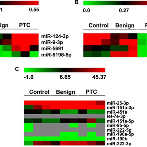 Hierarchical Clustering And Heat Map Analysis Of Mirna Array Profiling