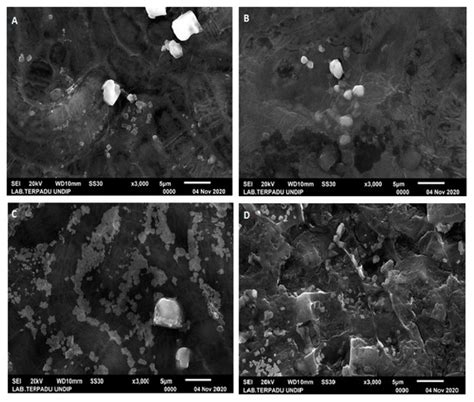 Toxics Special Issue Microplastics In Aquatic Environments