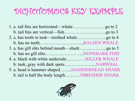 Ppt Dichotomous Key Powerpoint Presentation Free Download Id 6396439