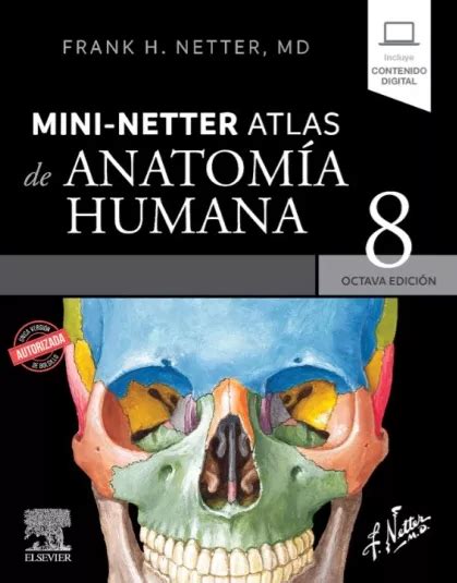 Mini Netter Atlas De AnatomÍa Humana 8ª Ed Netter