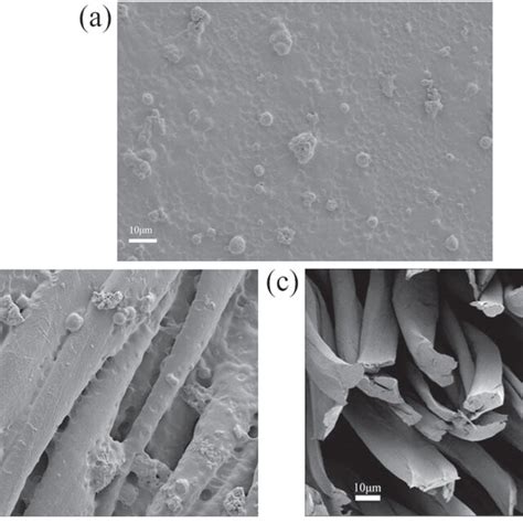 Color Depth Of Temperature Sensitive Light Sensitive Dual Response