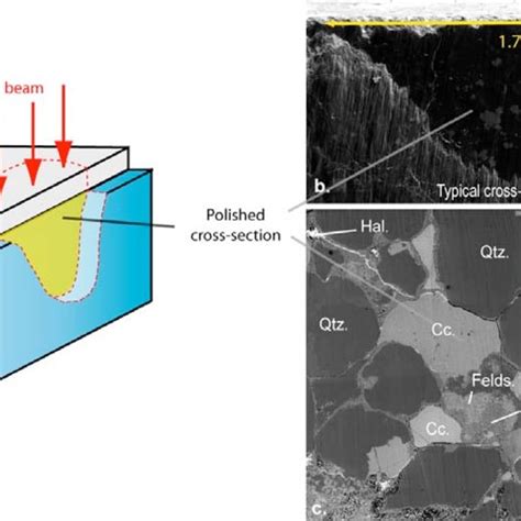 Sem Micrographs Se And Bse Of Typical Solid Phases Revealed By Bib