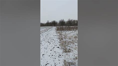 Доброго ранку Україно ☀️ ️🌨️ з першим днем весни 🌱 природарідногокраю життяяквоноє люблюсело