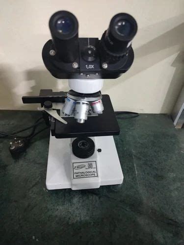 Microbiology Testing Service At ₹ 3000 One In Noida Id 2851667143362