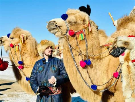 “Монгол тэмээний өдөрлөг” Лондонд болно Jim Mn