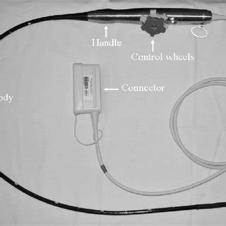 Components Of An Ultrasound Transducer Download Scientific Diagram