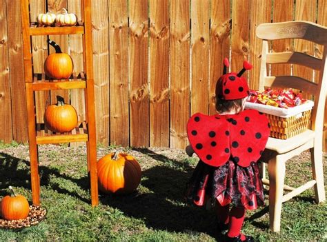 Halloween Ladybug Pumpkin Patch Ladybug Halloween