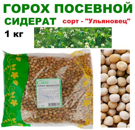 Горох Зеленый уголок Сидераты - купить по выгодным ценам в интернет ...