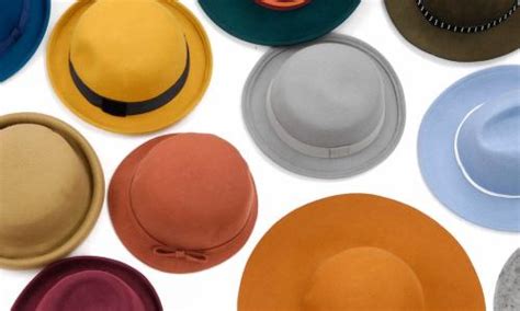 Lesley Sears Cu Management