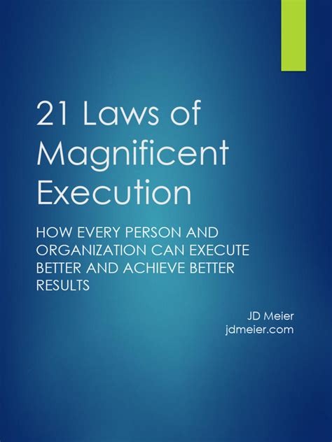 21 Laws Of Magnificent Execution Pdf Psychological Resilience