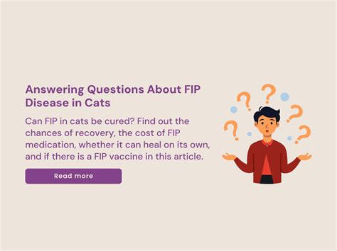 Fip Treatment Fip Cat Survival Fipcure And Fip Vaccine A Complete Guide