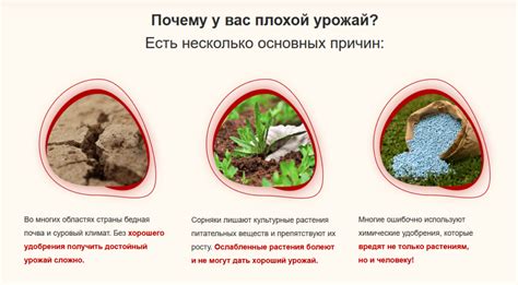 «Корнефит Гардефит для урожая реальные отзывы купить в аптеке цена развод