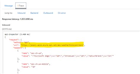 send parameters to azure apim operation and then to backend api