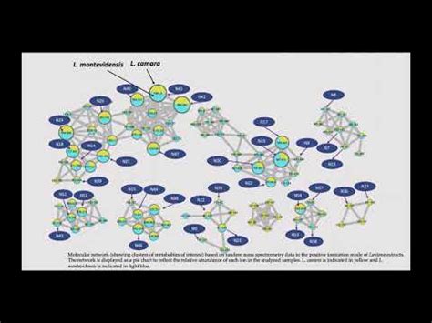 GNPS A Molecular Networking Tool Facilitating The Elucidation Of LCMS MS Data In Published
