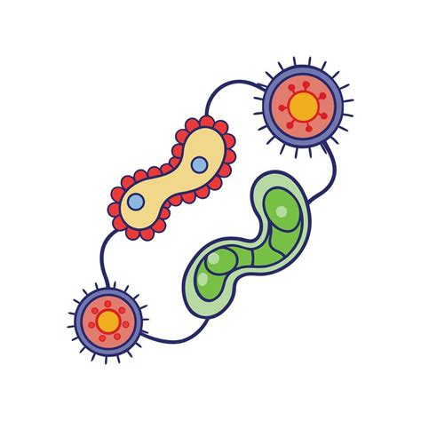 Characteristics Of Streptococcus Bacteria In Chains 59091719 Vector Art