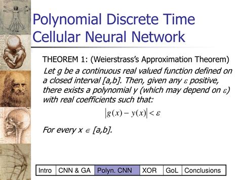 Ppt Polynomial Discrete Time Cellular Neural Networks Powerpoint