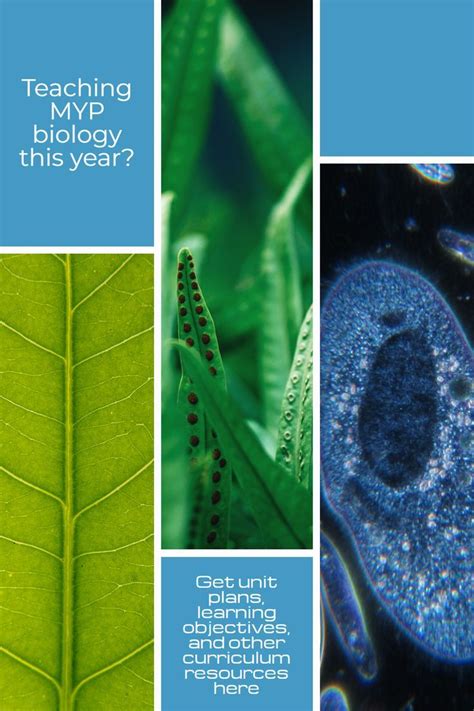 Myp Biology Resources Artofit
