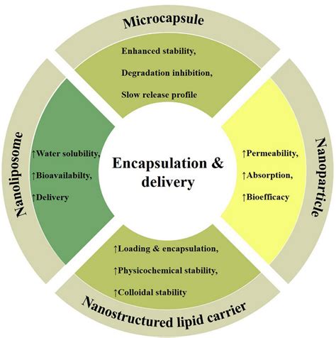 Different Encapsulation And Delivery Strategies Including Download Scientific Diagram
