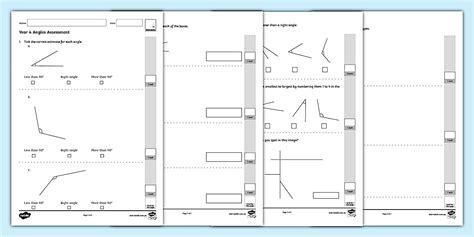 Year 4 Angles Assessment