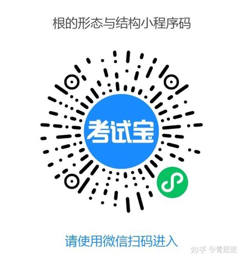 第四章：根的形态与结构 知乎