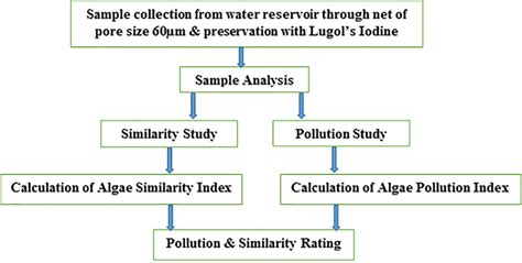 Methodology Of Sampling And Analysis Work Download Scientific Diagram