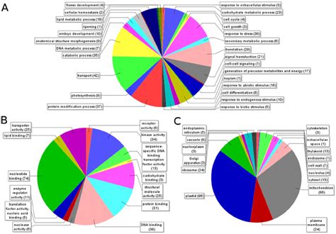 Functional Annotation Of Gene Sequences Found In 1al Go Terms Were