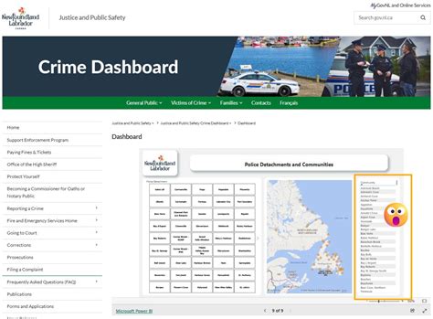 Datavisualization Storytelling Powerbi Powerplatform Anine Labuscagne