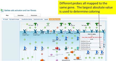 Metacore Processes In Metacore For Uploaded File That Has More Than