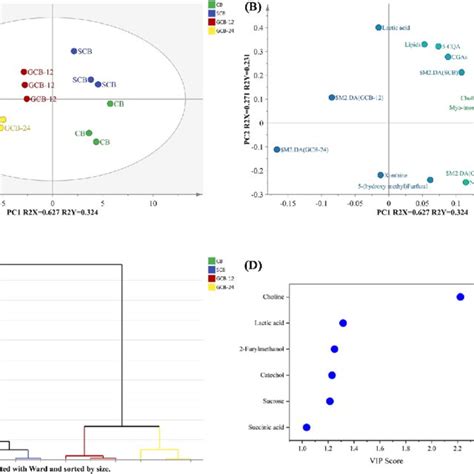the score plot a loading plot b and hierarchical cluster analysis