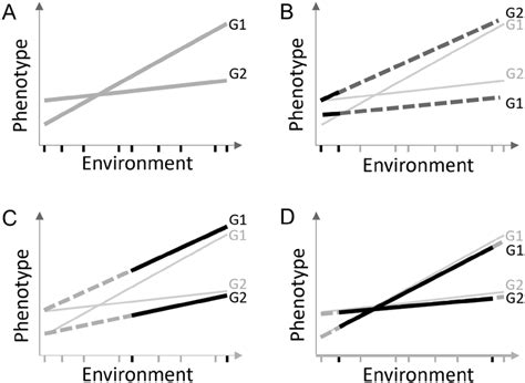 A Schematic Diagram Of Different Scenarios Of Reaction Norms A Download Scientific Diagram