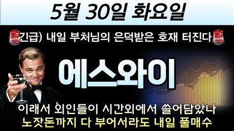 에스와이 🎓긴급🚨내일 부처님의 은덕받은 호재 터진다 이래서 외인들이 시간외에서 쓸어담았나 노잣돈까지 다 부어서라도 내일 풀매수 에코프로 이아이디 서울반도체 재건사업