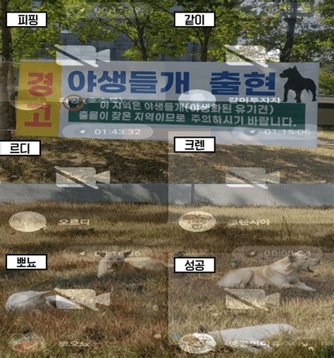 [지투22기 흔전튜터님께 배운 우리가 ㅈ1방투자 1인자 성공의이유] 임장지에 집중하다보면 만나는 것들
