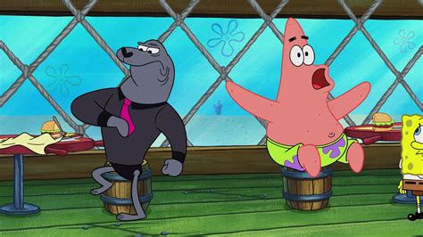 Seal Customer Gallery Encyclopedia Spongebobia Fandom